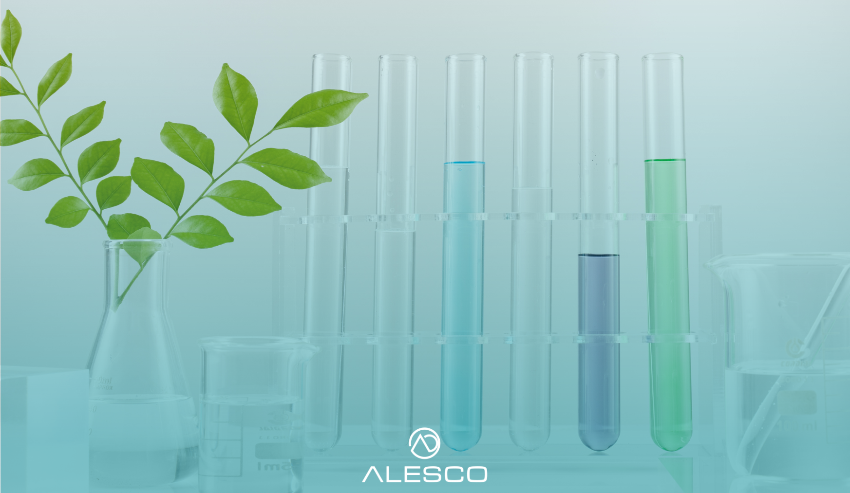 Alesco e Polaris: una nuova partnership per la distribuzione del DHA ...