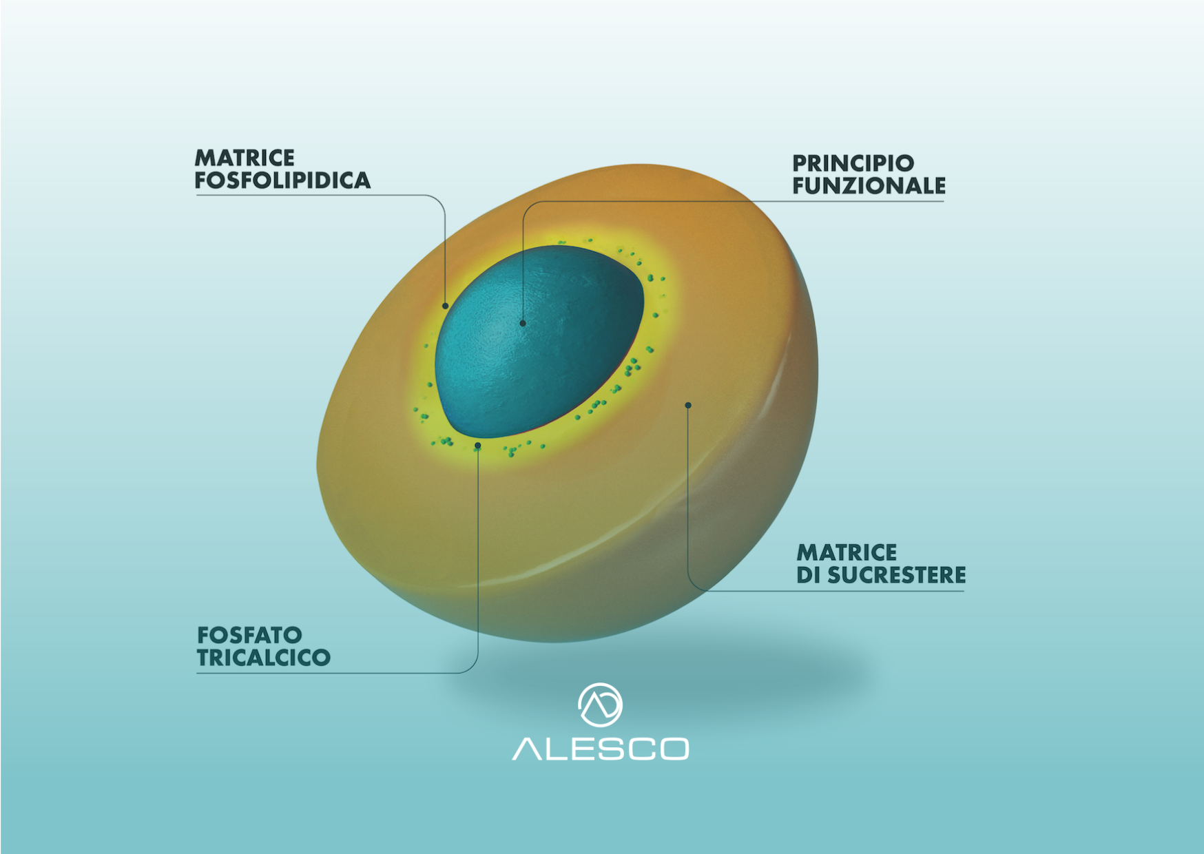 Sucrosomial® Magnesium: properties and benefits - pharmanutra.it